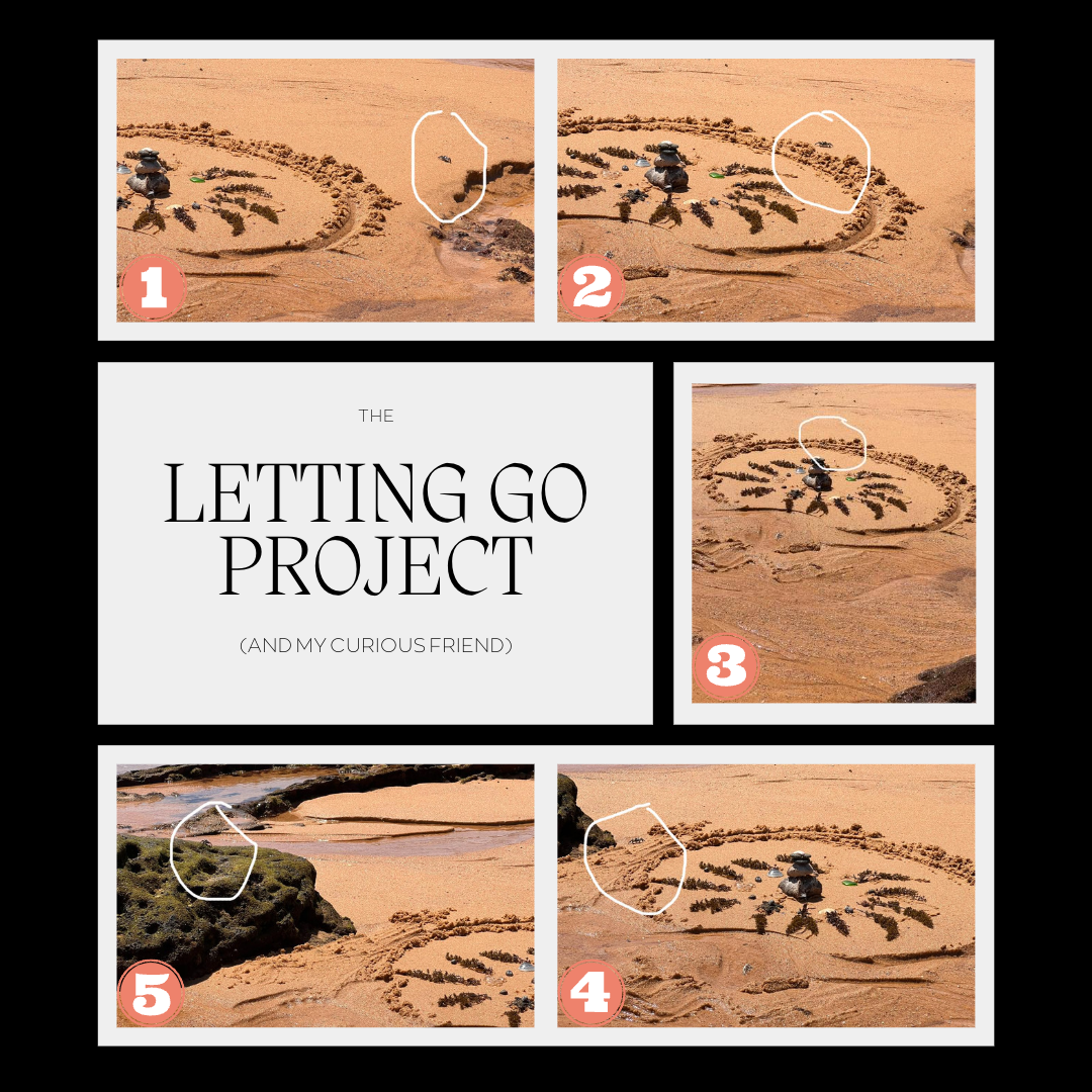 The Letting Go Project (and my curious visitor) - Madelaine Vallin ...